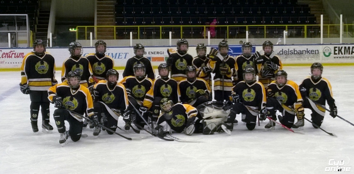 Lag Fagersta AIK - Seagate Cup 2015 - Cuponline