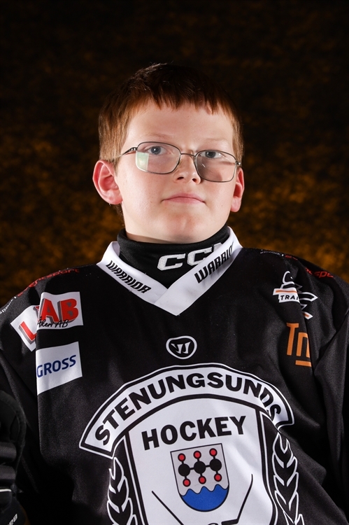 Lag Stenungsund HF - Stingers New Years Trophy U13 - Cuponline